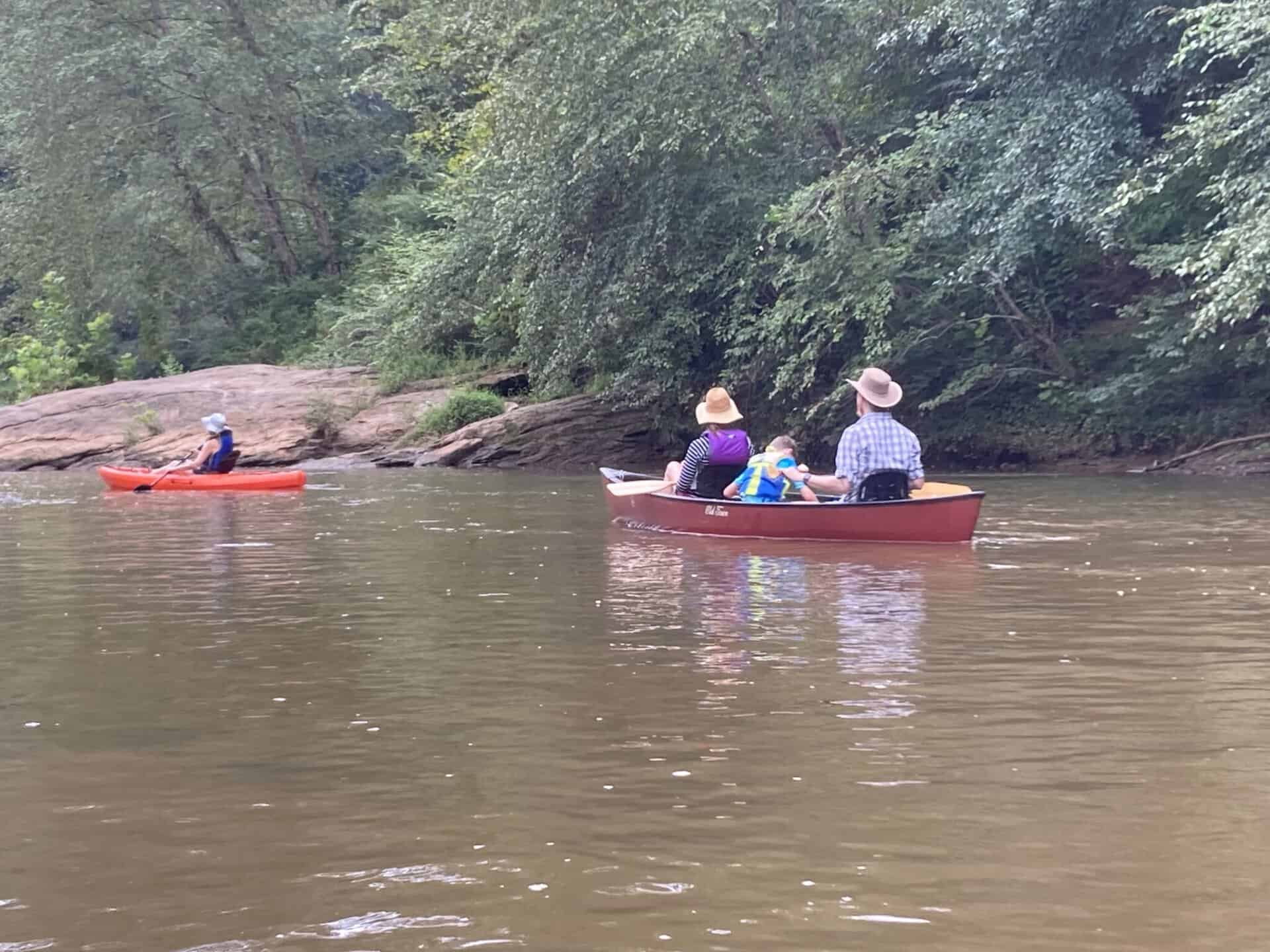 Guardian of the South River - Arabia Mountain