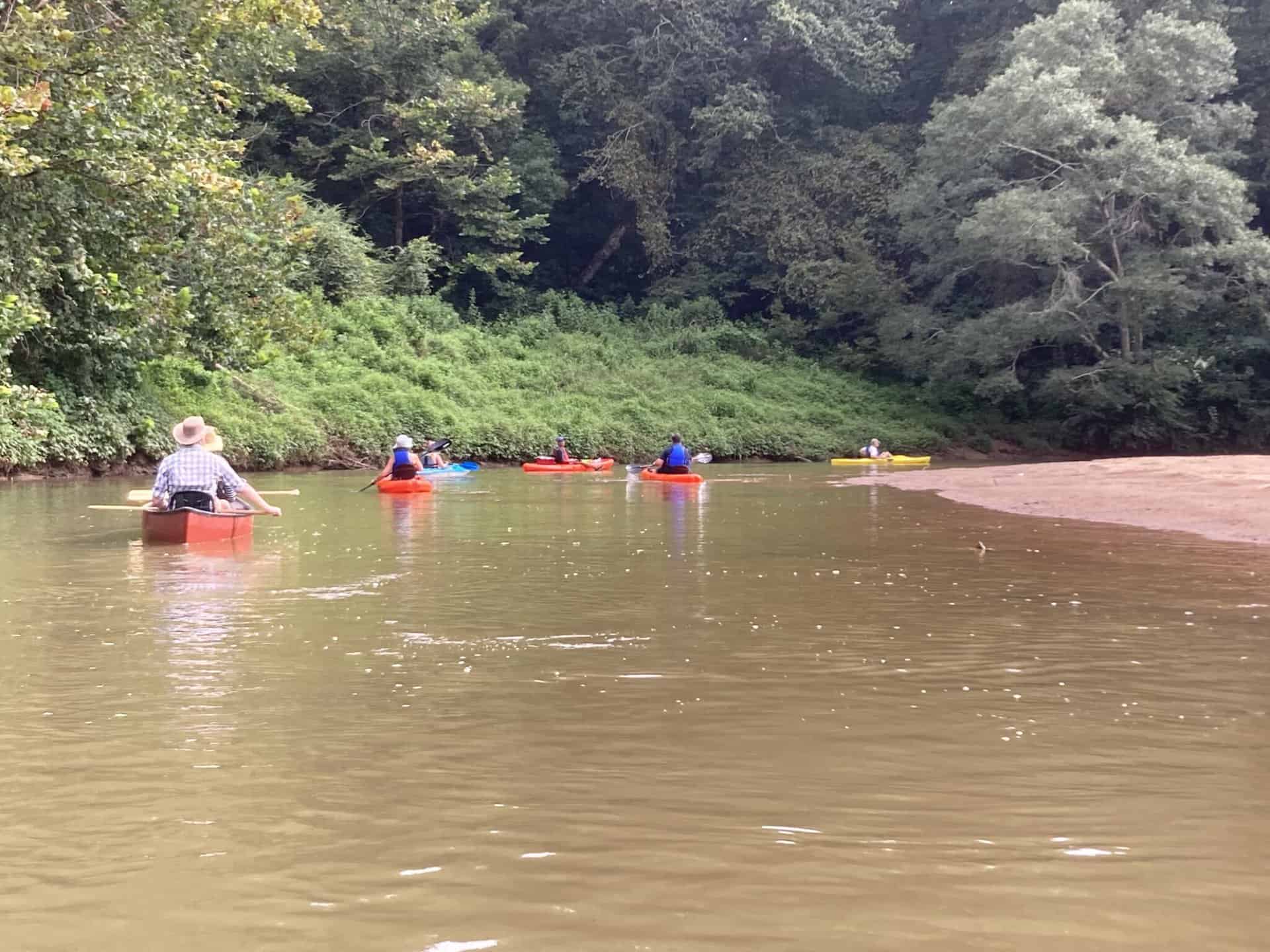 Guardian of the South River - Arabia Mountain