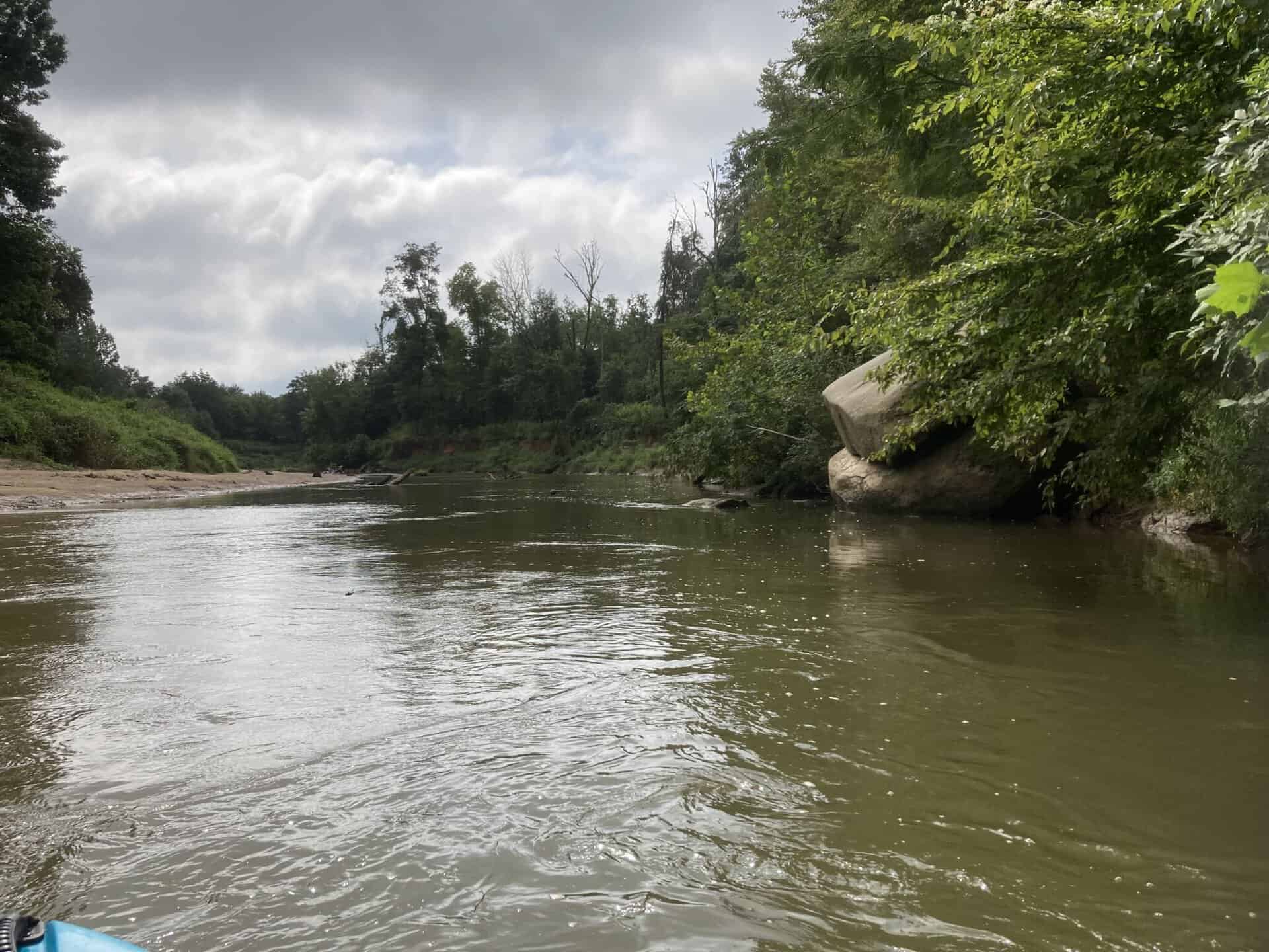 Guardian of the South River - Arabia Mountain