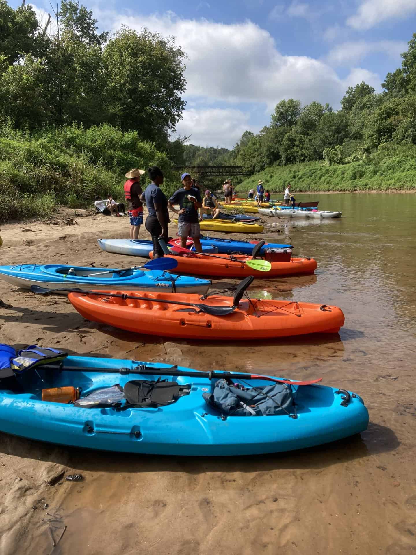 Guardian of the South River - Arabia Mountain